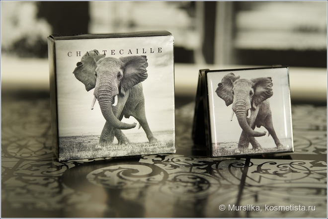 Chantecaille Luminescent Eye Shade Elephant серый тауп | Отзывы ...