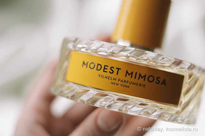 Весна в ноябре вместе с modest mimosa от Vilhelm Parfumerie | Отзывы ...