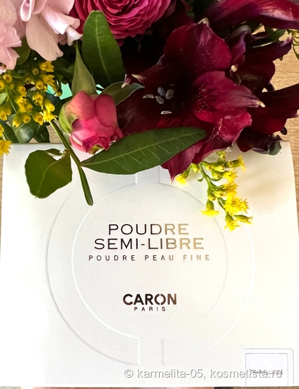 Нестареющая классика. Caron Transparent Semi-Loose Powder в оттенке ...