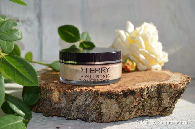 Лучшая пудра от By Terry Hyaluronic Tinted Hydra - Powder | Отзывы ...