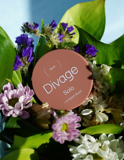 Одни из лучших бюджетных румян! Divage Solo Compact Blush 06 оттенок ...